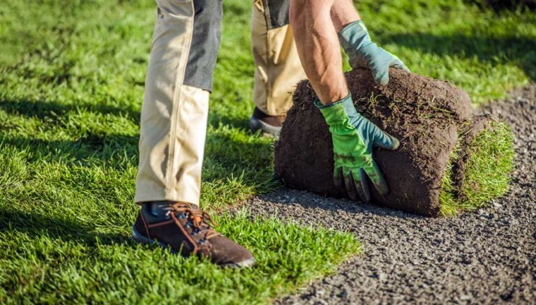 Lawn Installation - Nextmow